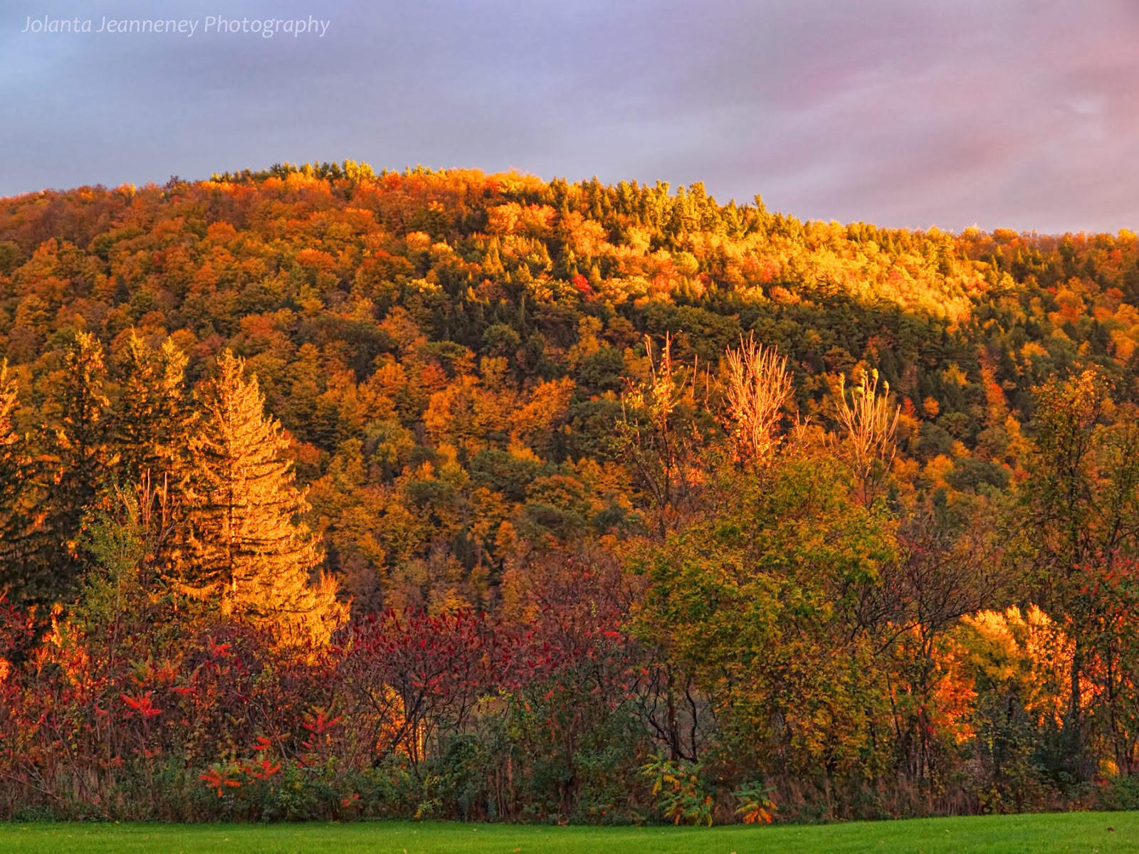 NATURE CALENDARS: Magic colors of October landscapes in the Helderbergs