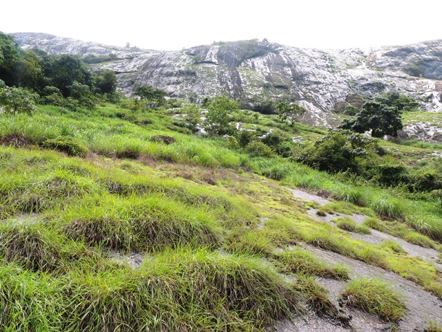 Palkulamedu Eco Tourism & Trekking | പാൽകുളംമേട് | Idukki