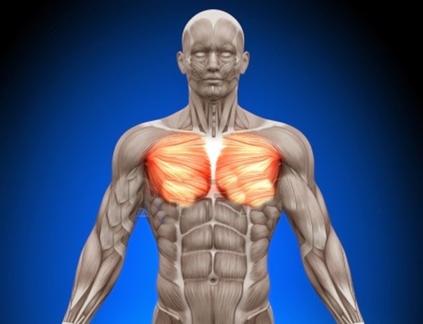 Todo Mujer: LAS EMOCIONES Y SU RELACION CON LOS ORGANOS DE NUESTRO CUERPO