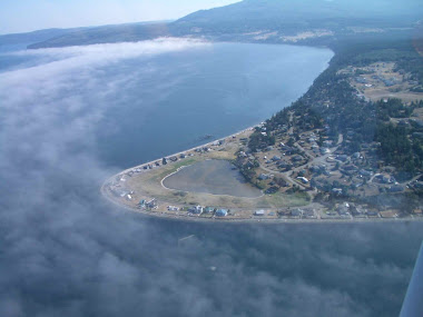 Beach Happenings at Diamond Point, Sequim: Wind storms carried off the ...