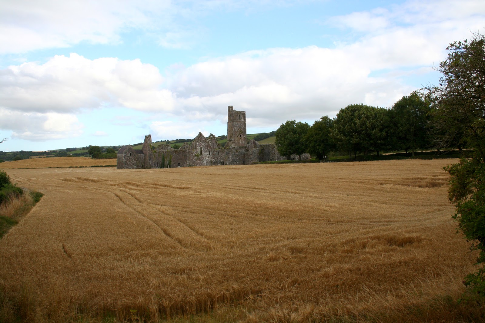 Líníocht Blog - blog of J G O'Donoghue: Kilcrea Abbey & Castle