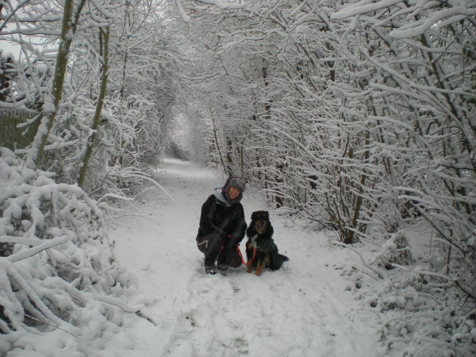 The Truth About Nats & Dogs