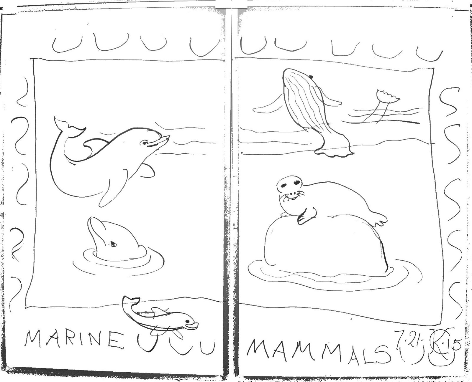 CKNotes 4: Marine mammals demo drawing and coloring page.