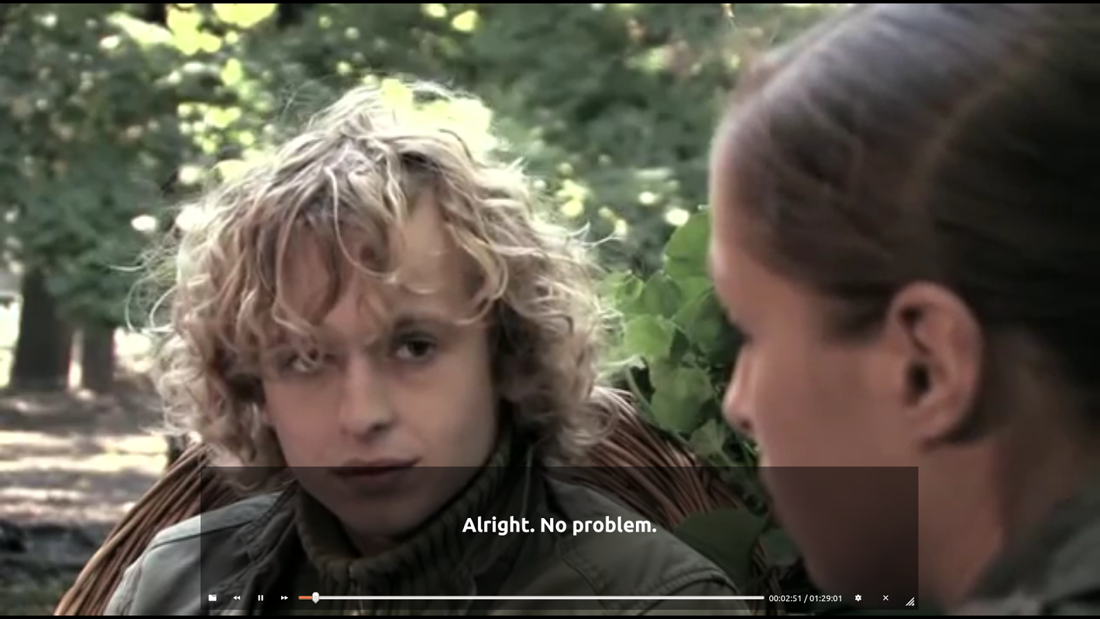 Play Subtitles On Top Of Any Video With Penguin Subtitle Player ~ Web ...