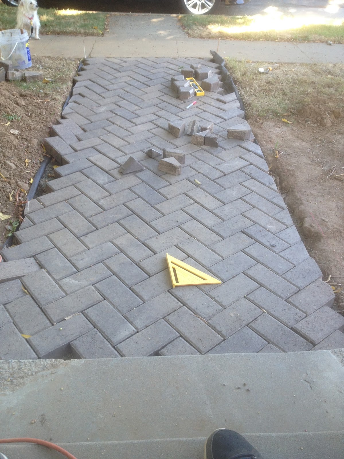 Project Tori: DIY Herringbone Brick Pathway