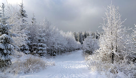 The Presurfer: 15 Surprising Facts About Winter Weather