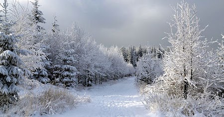 The Presurfer: 15 Surprising Facts About Winter Weather