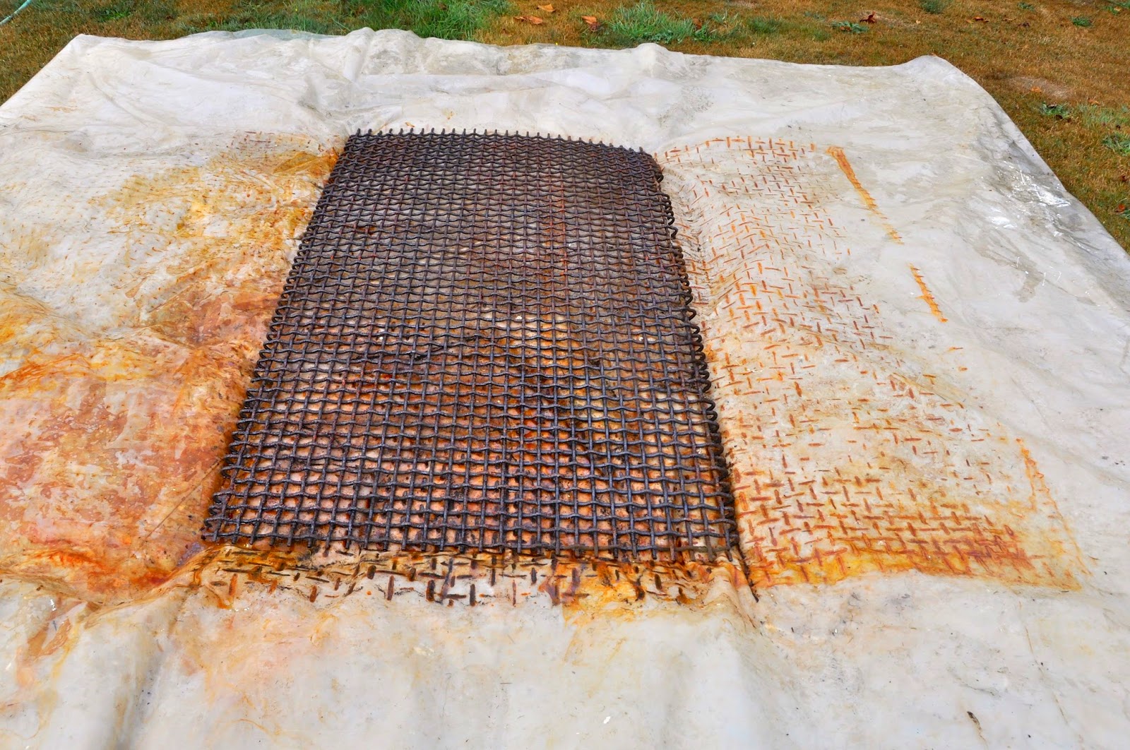 LuAnn Kessi: Rust Dyeing…..