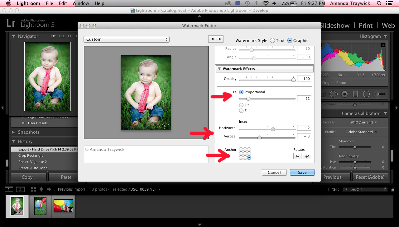 A Mother's Craftuition: How To: Add text and watermarks to your photos