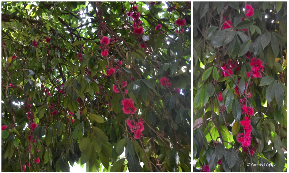 Ningún lugar está lejos... en RD: 2018