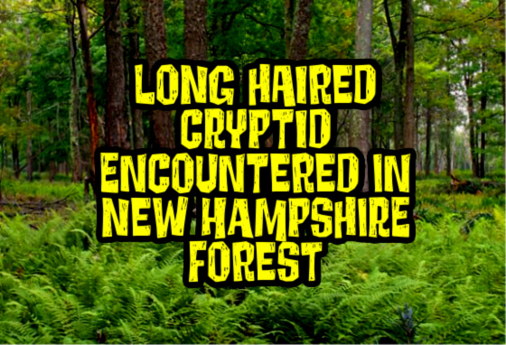 Please enable JavaScript