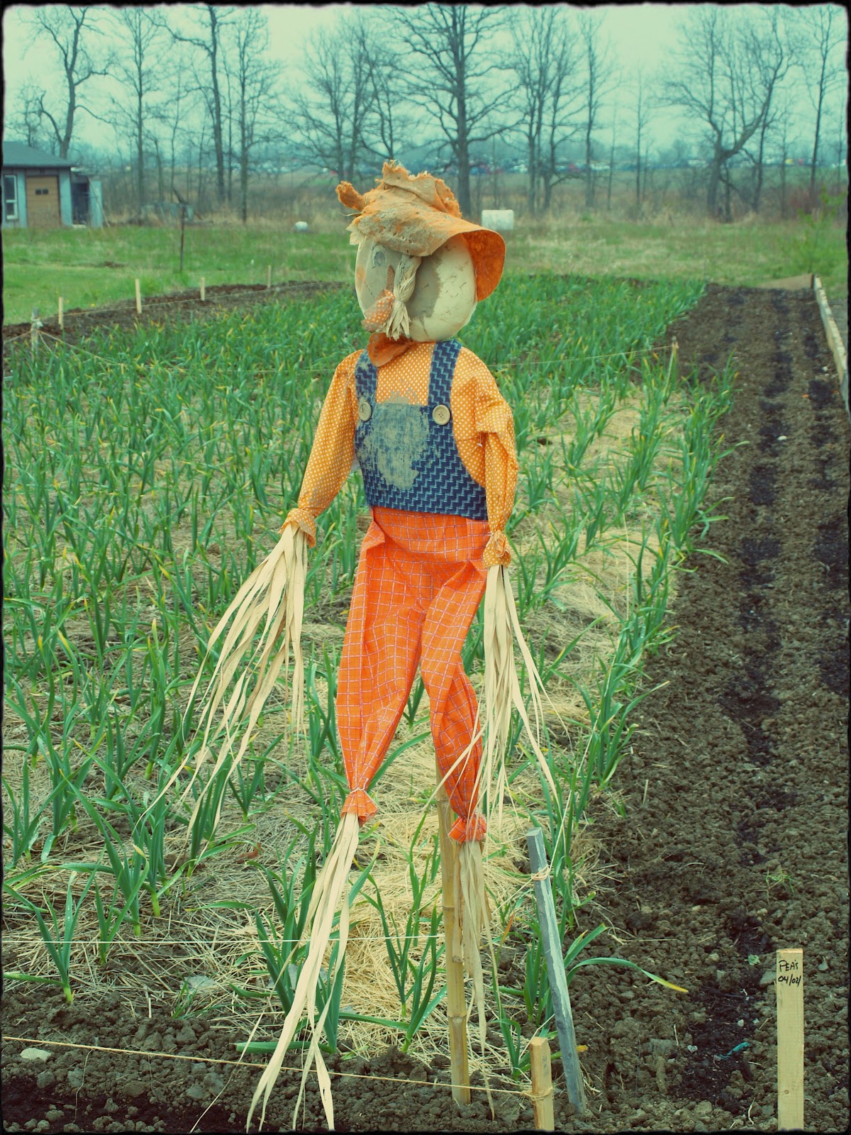 Woman in Real Life: Life Well Lived, part two