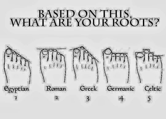 Fun Facts: What are your roots?