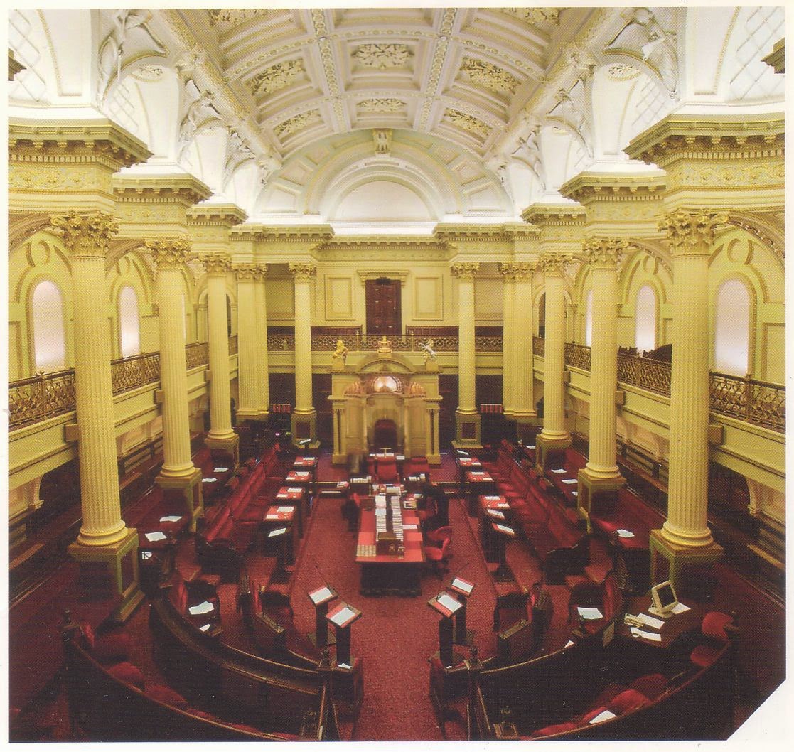 Damien Codognotto OAM: June 2014