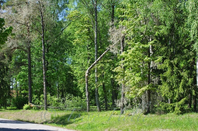 Võromaaveere: Surnuaed