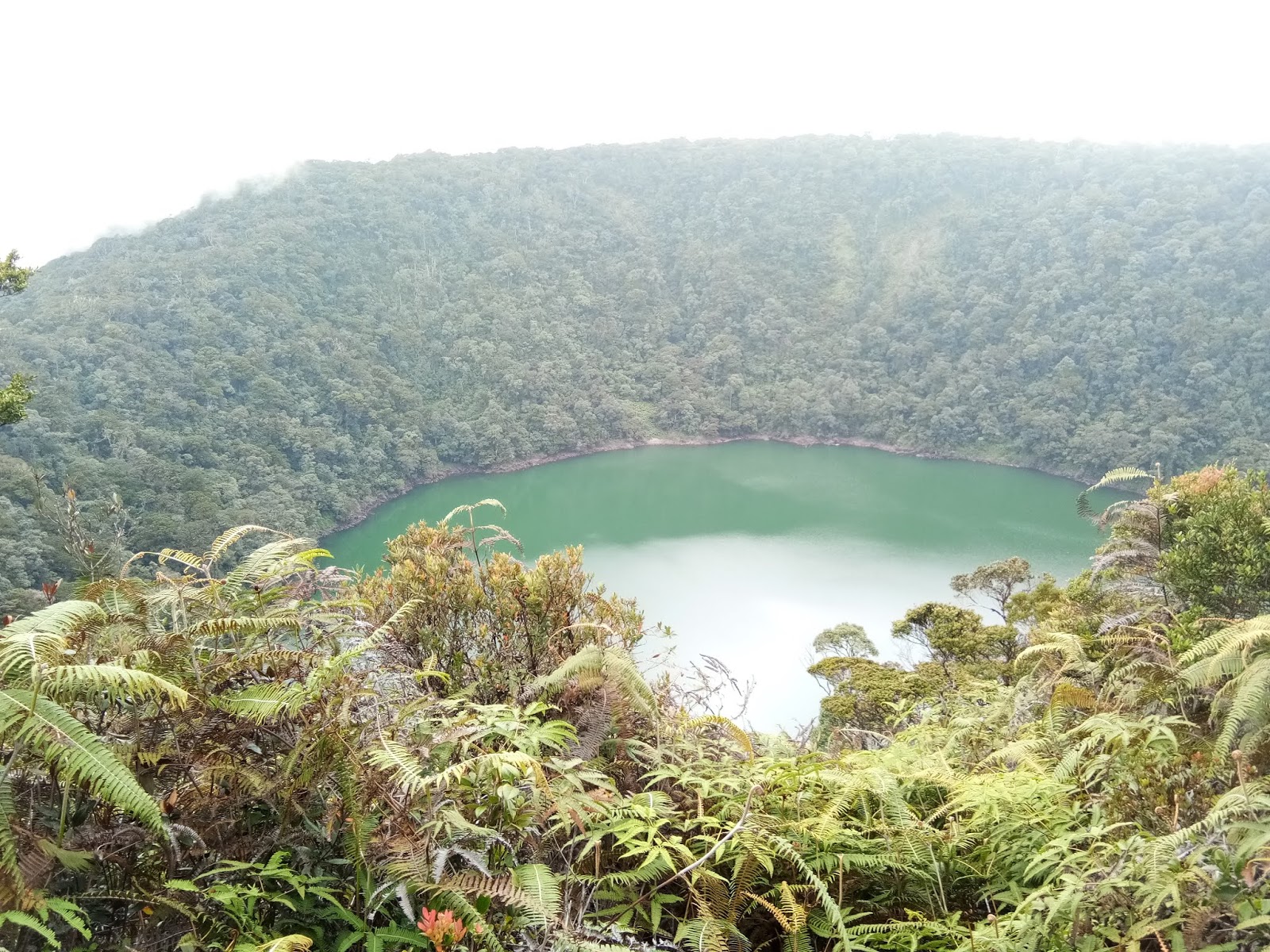 Green Chapter Adventure: Jelajah Bumi Jambi - Gunung Masurai 2980 mdpl