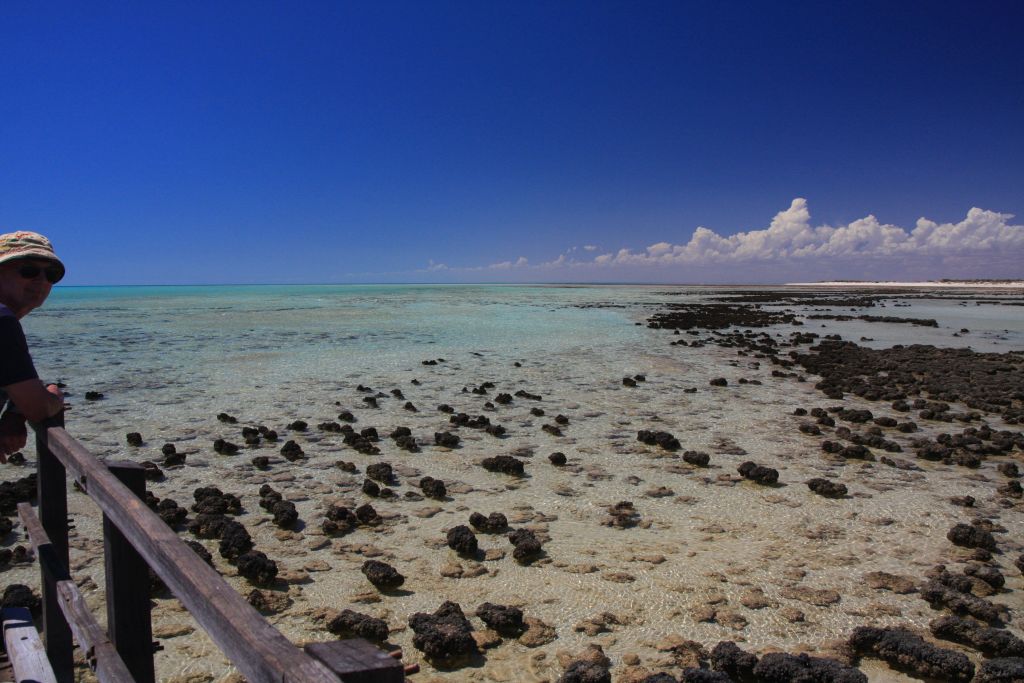 Ut på tur: Kalbarri National Park