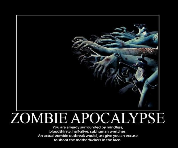 The House Cat: zombie apocalypse