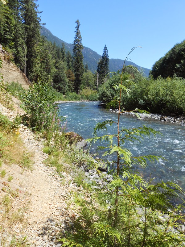 Val-Di-Ree: Obstruction Point to Dosewallips River, July 23-26, 2013