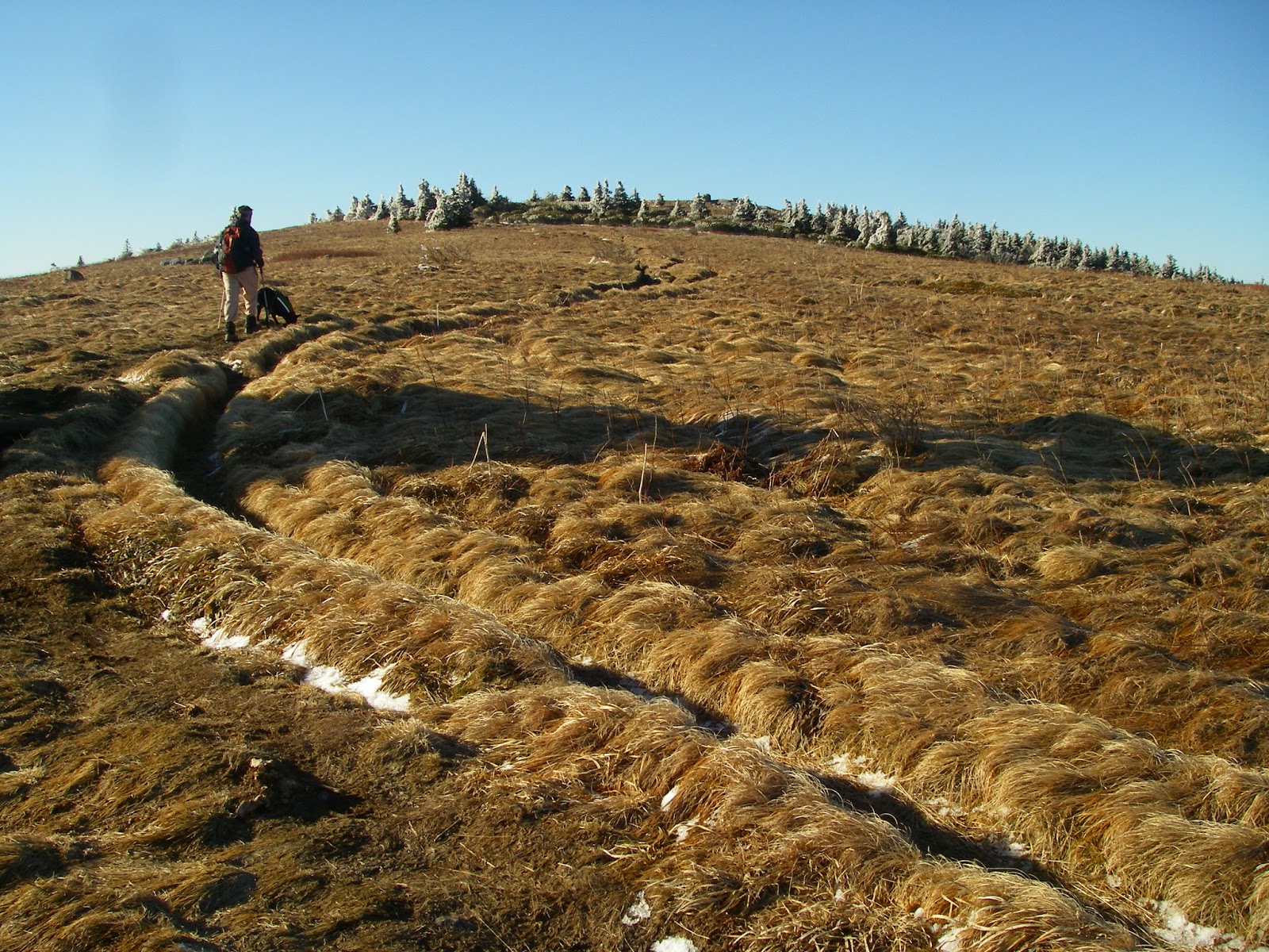 Peaks & Paths: Grassy Ridge and the Roan Highlands - Fellwalking ...