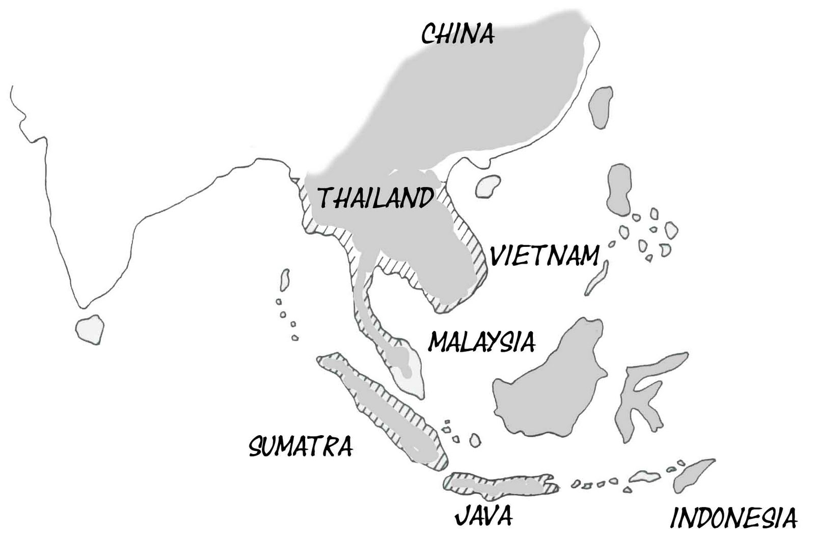 BETTA HISTORY ~ ALL ABOUT BETTA'S