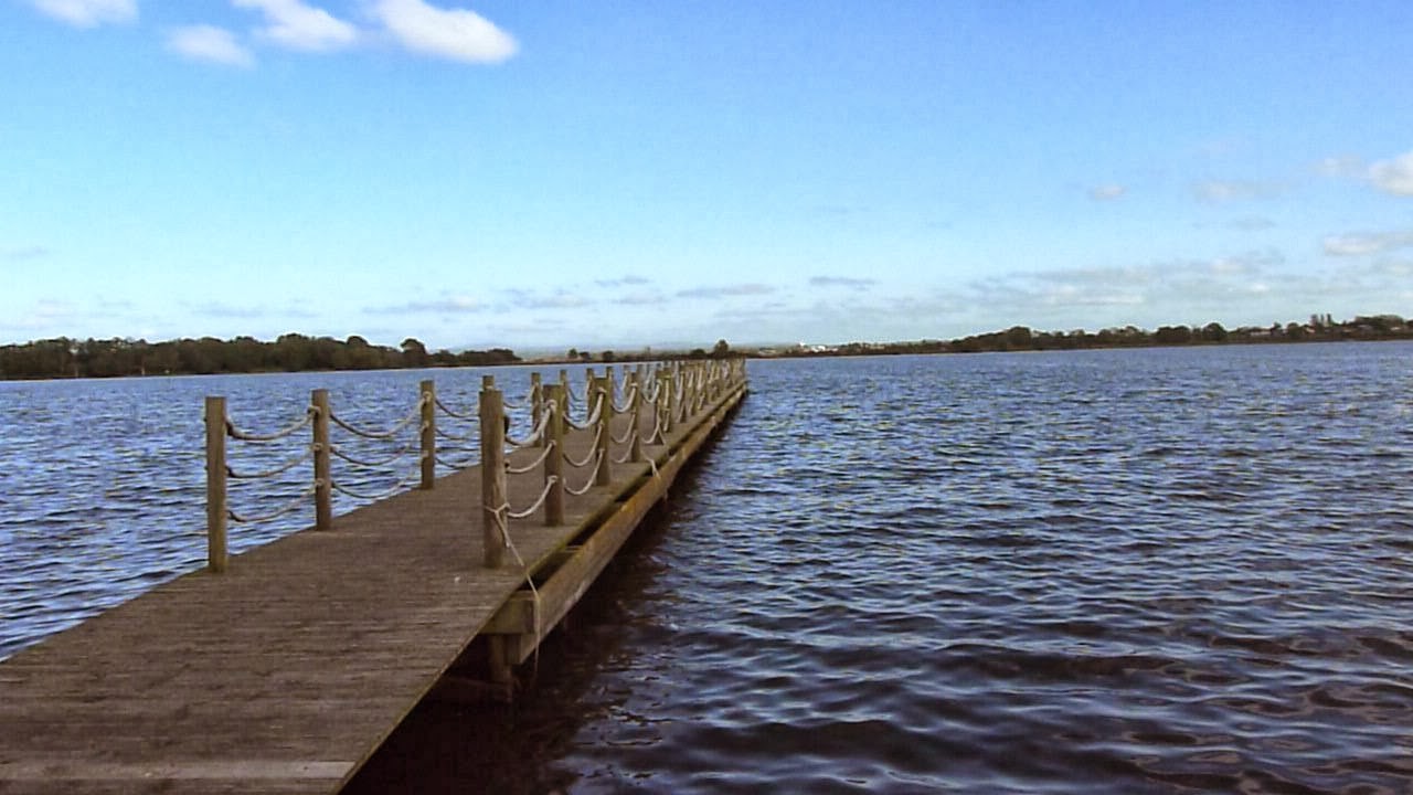 Birding For Pleasure: Oxford Island Discovered