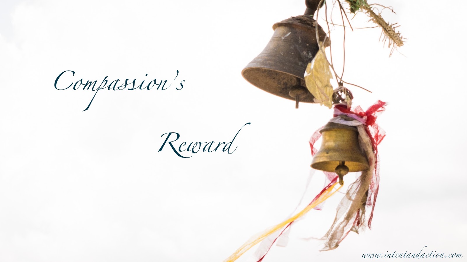 Sparks in Wisdom's Fire: Compassion's Reward