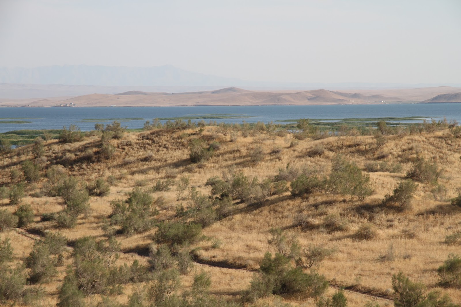 une pie,, tant pis...et deux, tant mieux: Ouzbékistan: dans les steppes ...