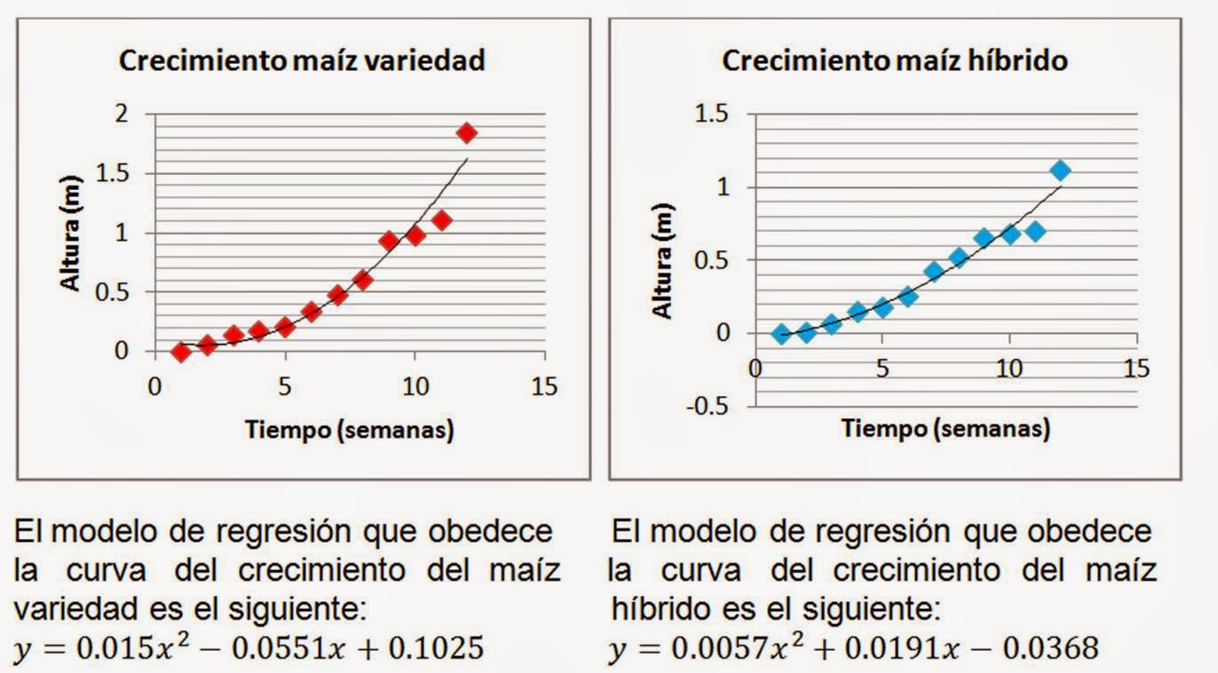 El blog de Jair Beltrán: INFORME DE CRECIMIENTO Y DESARROLLO (CULTIVO ...
