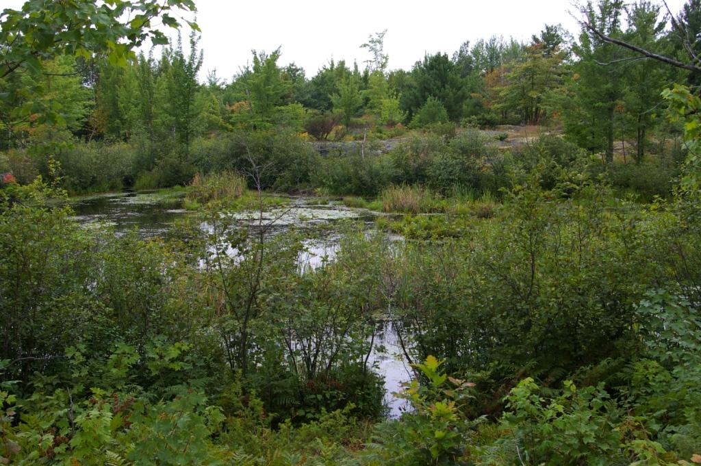 Teresa Mallen Studio: a mystery