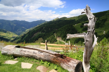 Alpen-Blog: Salzburger Almenweg: Filzmoosalm, Loosbühelalm und Weißalm ...