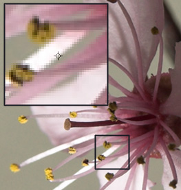 Intro to Information technology: Basic and Specialized Application Software