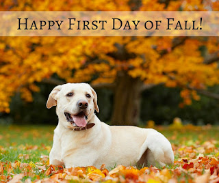 Bregman Veterinary Group: Happy First Day of Fall!