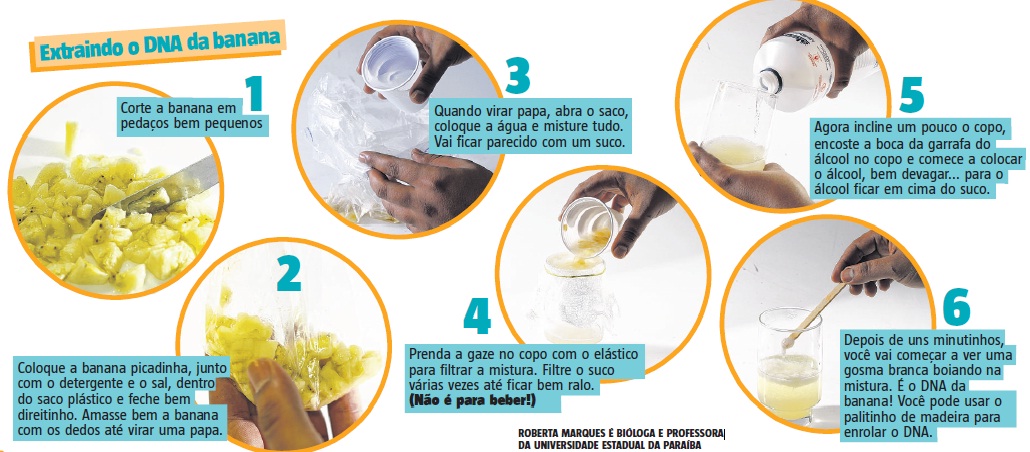 Receita de DNA de Banana | A Tardinha