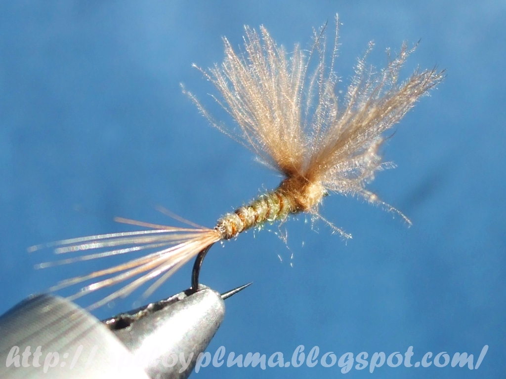 A pelo y pluma-- Flyfishing blog: Epeorus en PLA y CDC