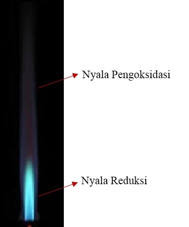 ANALISA PENDAHULUAN : UJI MANIK BORAKS - Kidut's Theory....