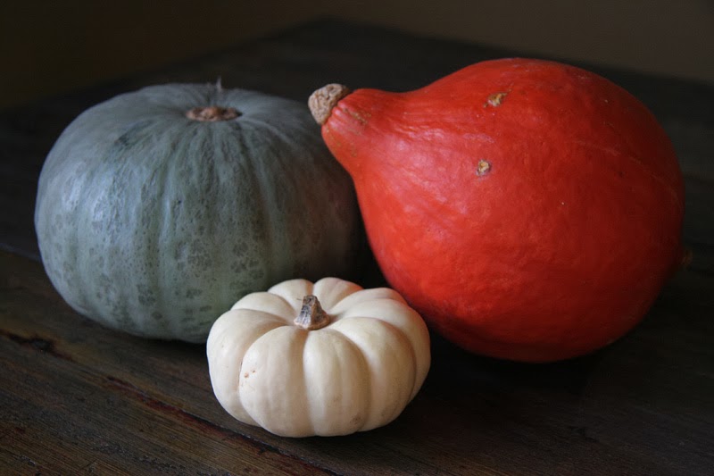 Nessy Designs: Gourd Color