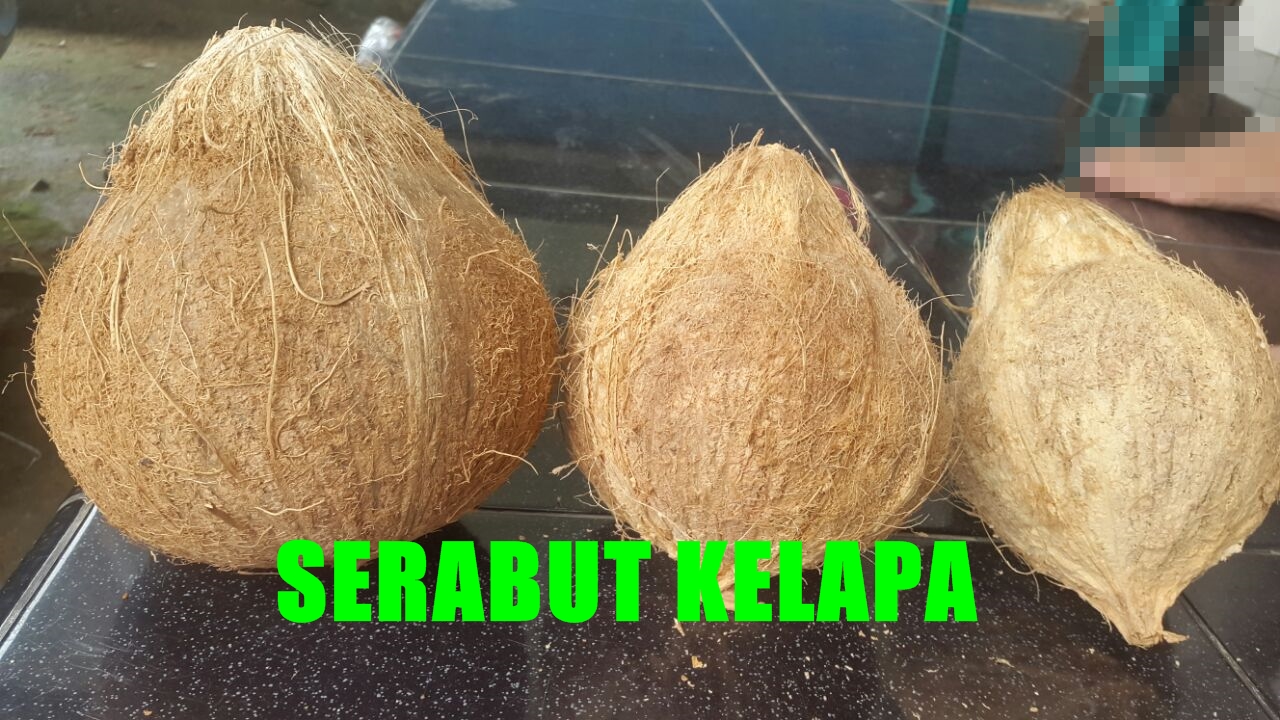 Gaya Terbaru 31+ Kerajinan Sabut Kelapa