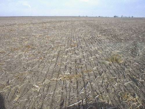 Our Shalom: The Season Called "Fallow Ground"