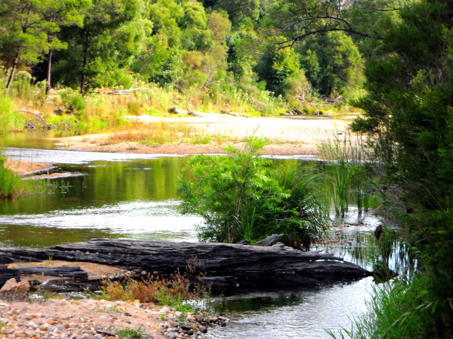 Moristotle & Co.: First Monday with Characters