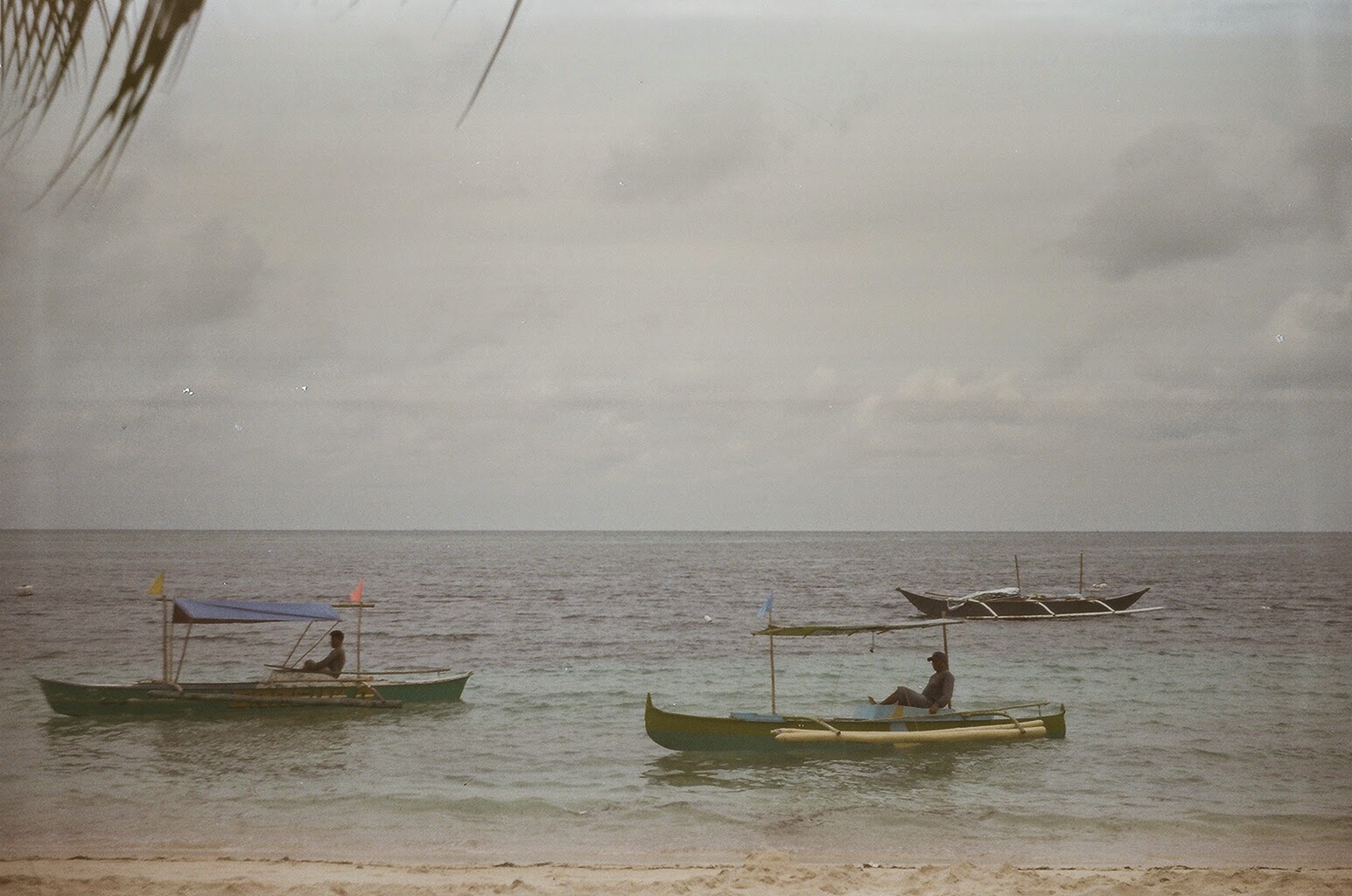 the wandering little girl