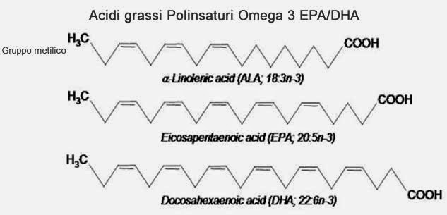 OMEGOR VITALITY: A BASE DI OMEGA-3 PER UNA MAGGIORE PROTEZIONE A ...
