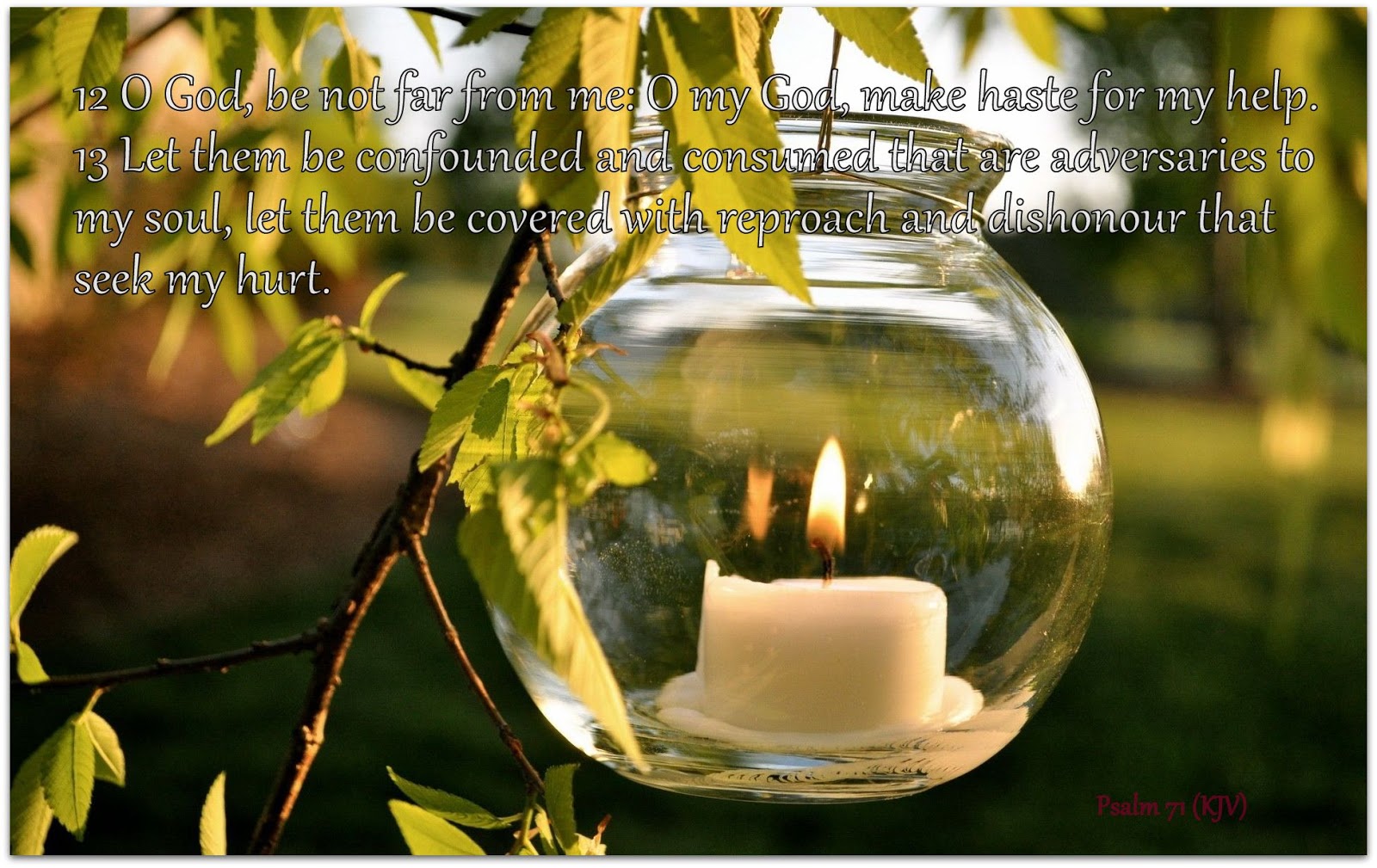 Red Pill Diaries: Psalm 71 (KJV)