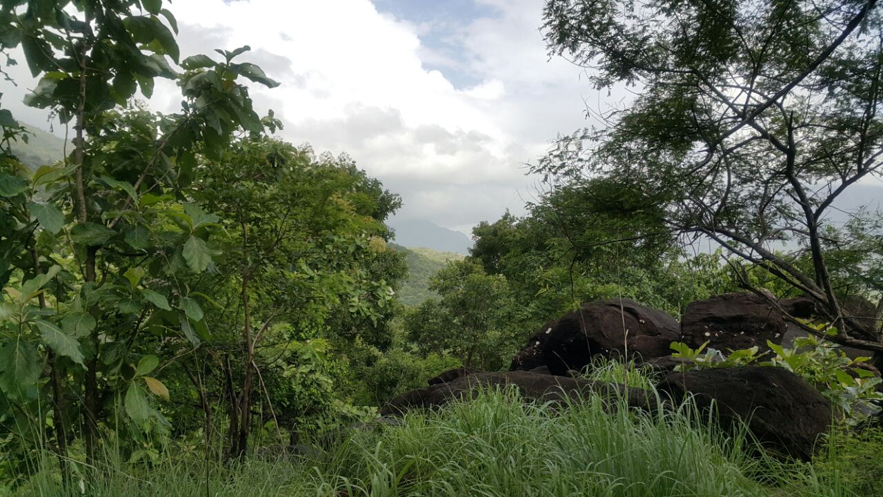 Tamilnadu Tourism: Ulakkai Aruvi Falls, Azhagiapandipuram, Kanyakumari