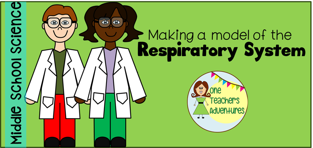 Middle School Science: Making a Model of the Respiratory System using a ...