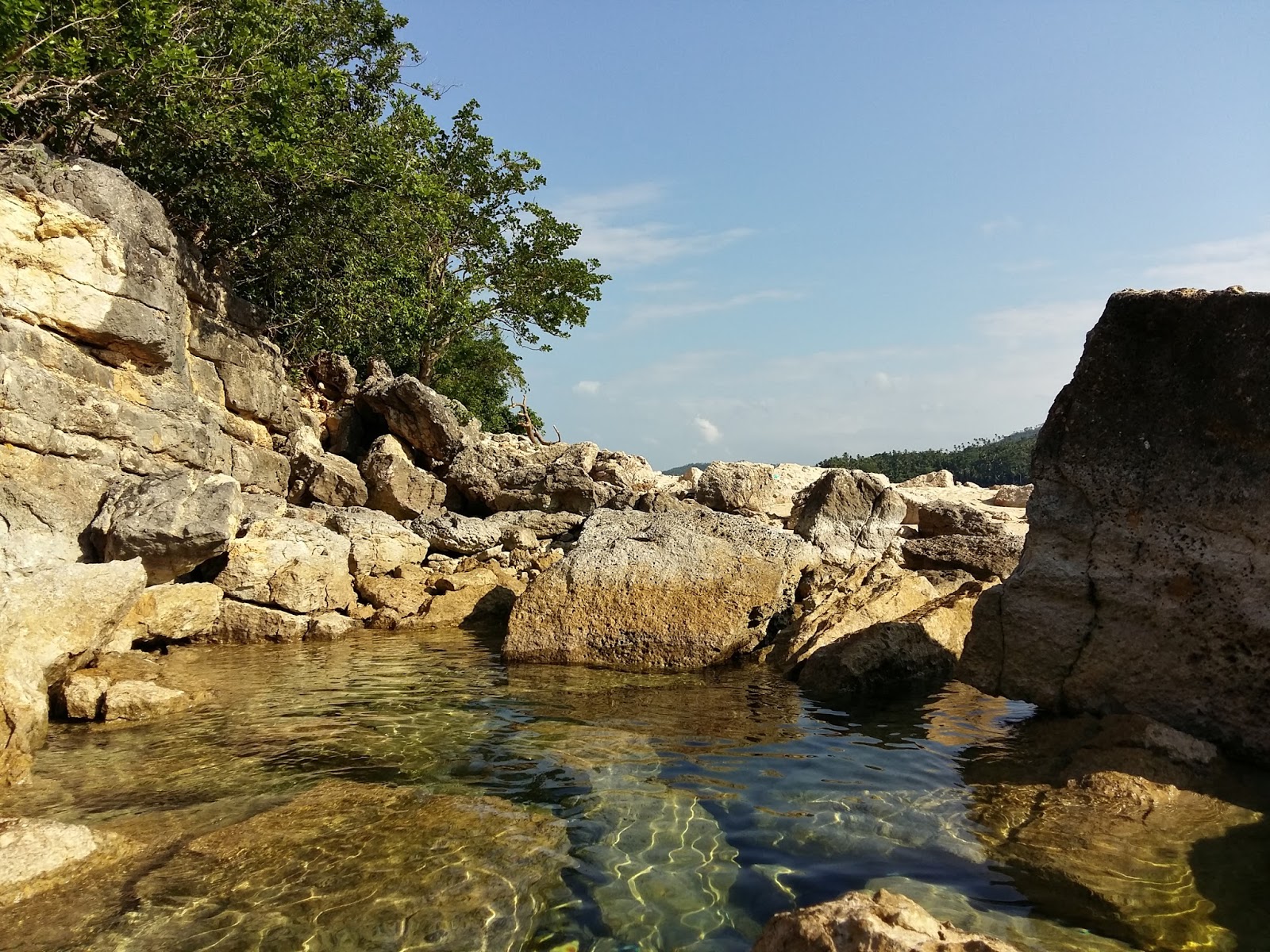 The Travelling Husky: Halea Nature Park and Burobangkaso Islet, Monreal ...