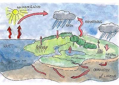 GrönaHestarsompratar: Vattnets kretslopp