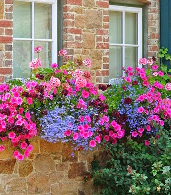 Donna's Art at Mourning Dove Cottage: Cottage window boxes