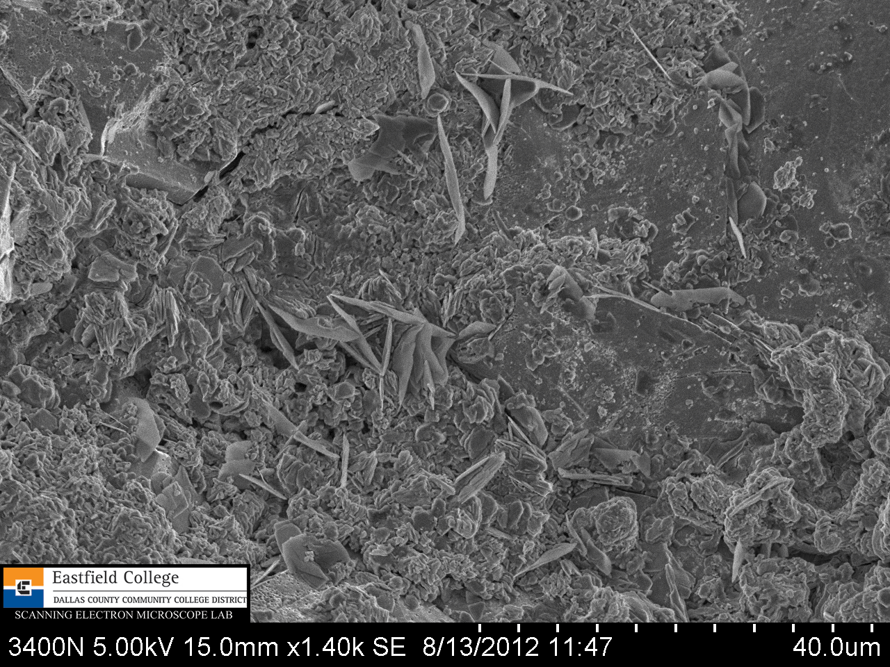 Scanning Electron Microscope Blog: Geology on a small scale