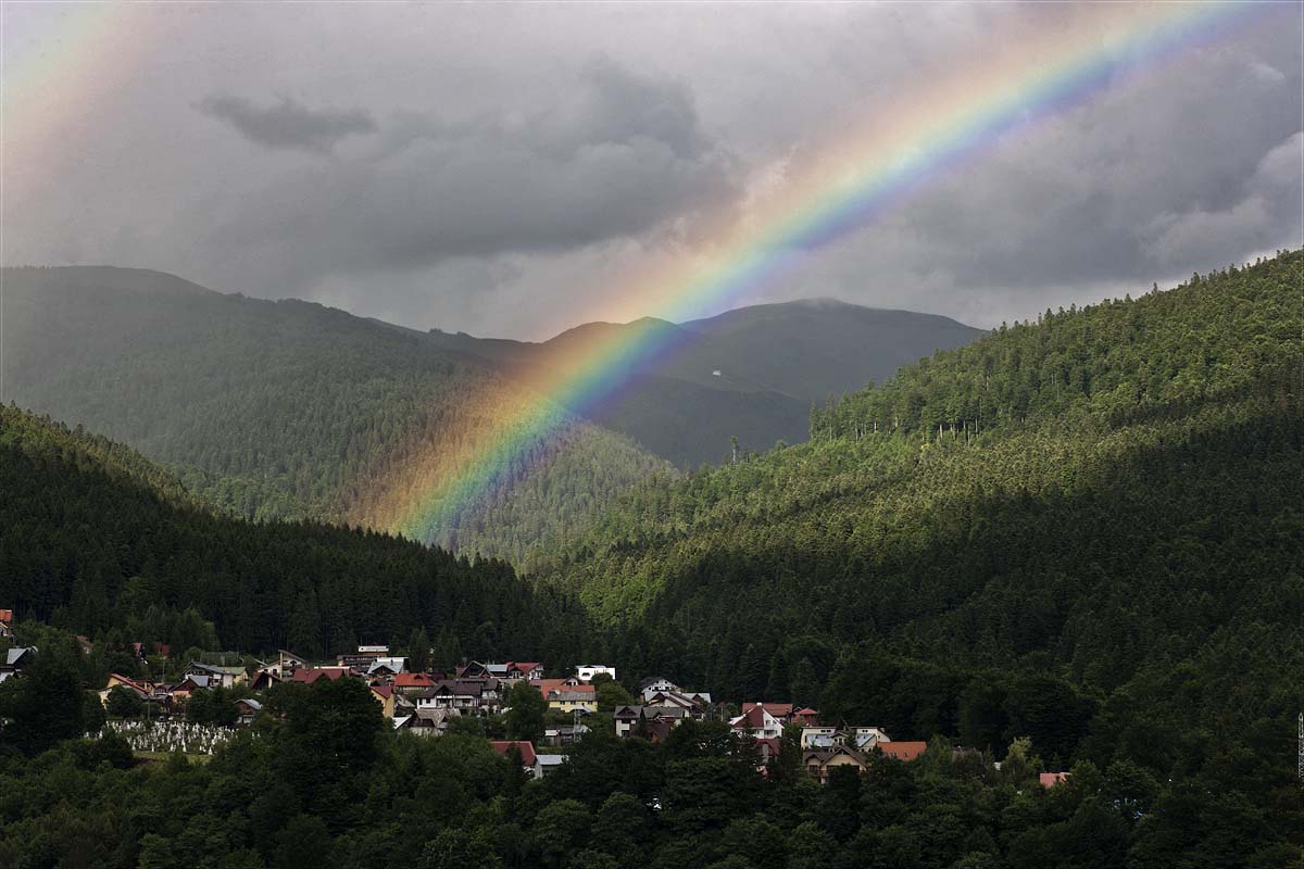 Florin Andreescu: Curcubeul lui Mihnea